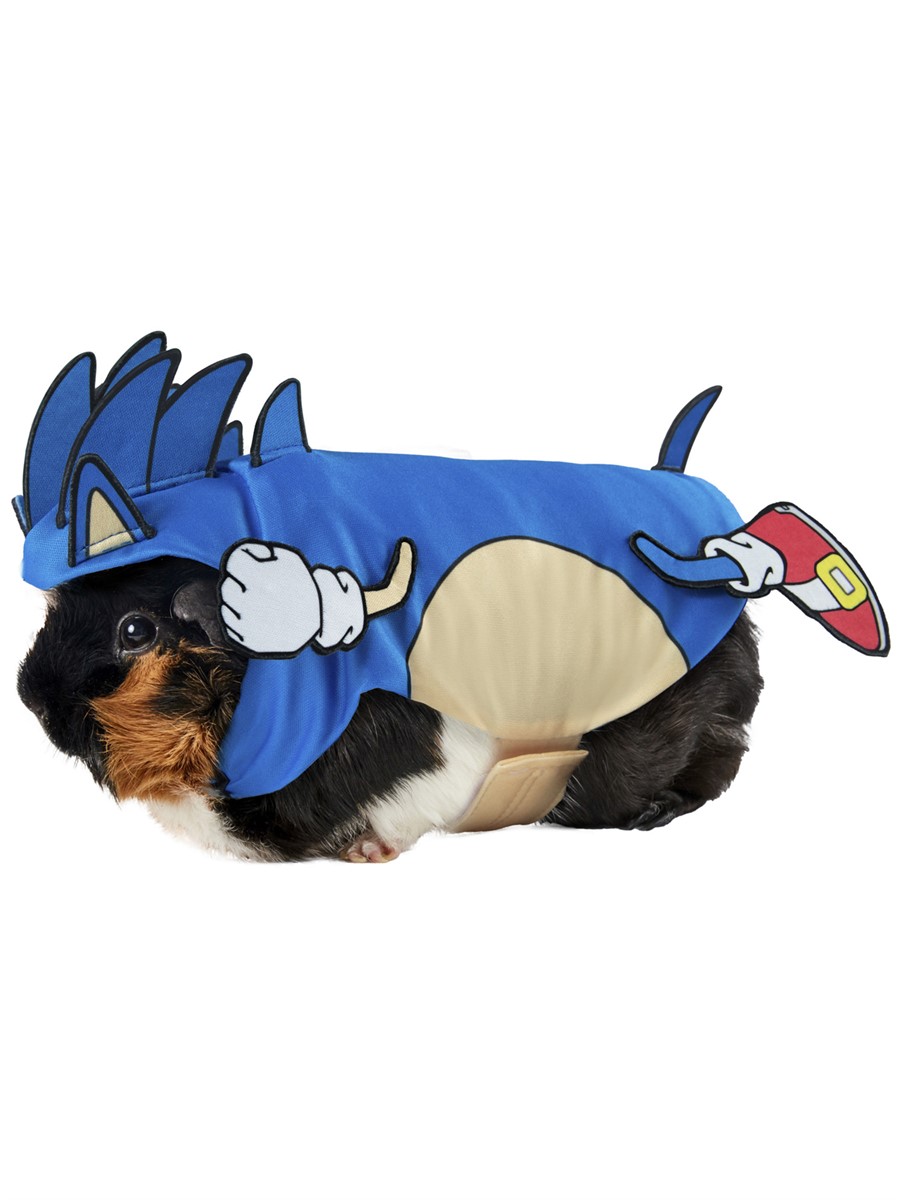 Sonic As A Dog