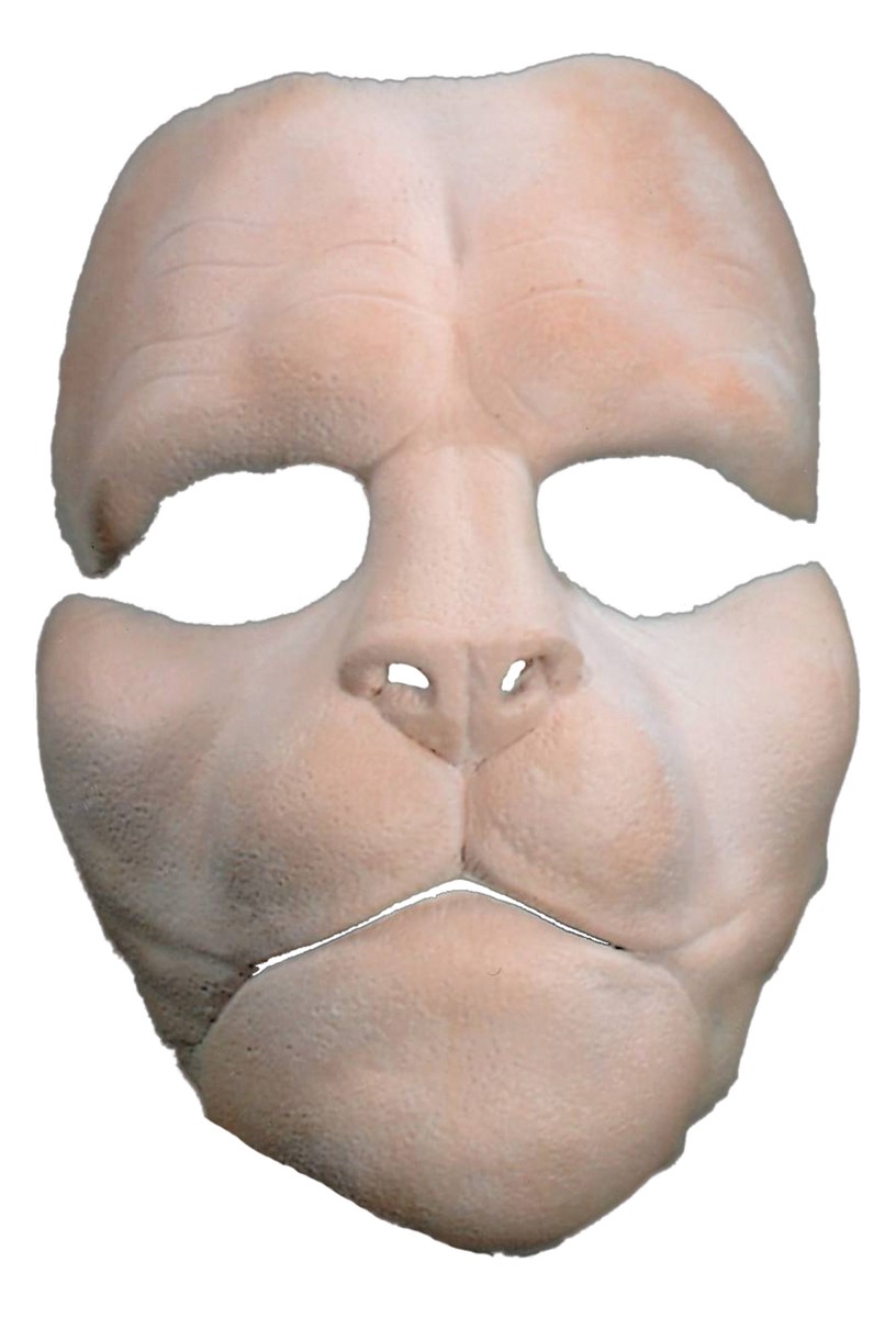 Lion Prosthetic Mask - PartyBell.com